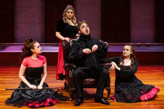 The Enchanted Pig a Musical tale | Stage Whispers