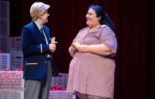 Looking for Alibrandi | Stage Whispers